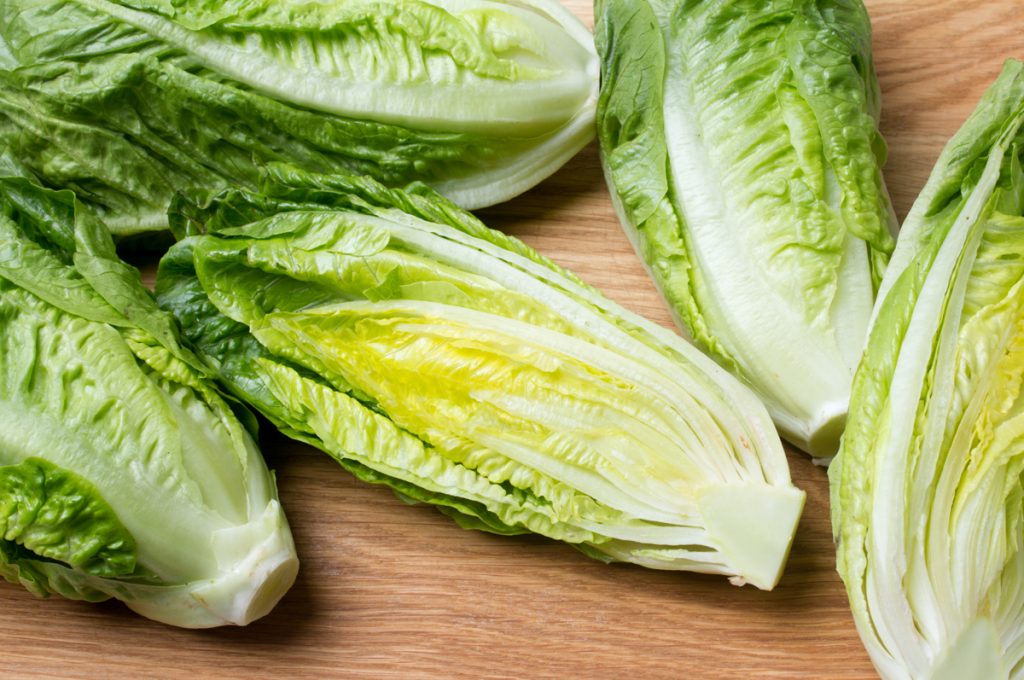 Jak pěstovat různe druhy salátu | Recepty prima nápadů