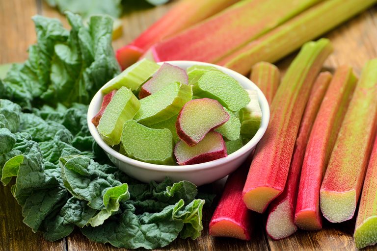 Rebarbora: Rady pro správné pěstování rebarbory