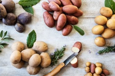 Vše o bramborách: Vybírame a pěstujeme brambory