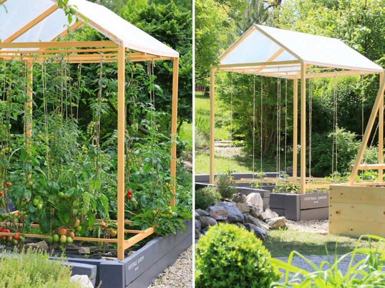 Vyvýšený záhon pro pěstování rajčat se stříškou a provázky na uvazování ...