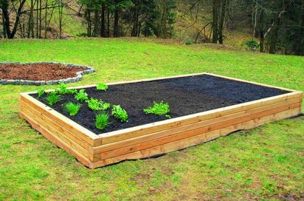 Méně známé hortenzie | Recepty prima nápadů